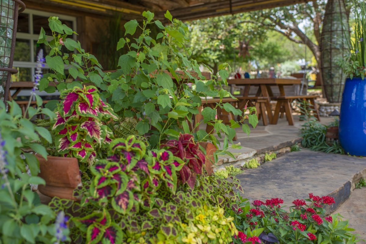 The Gardens Landscaping – The Ridge Marketplace