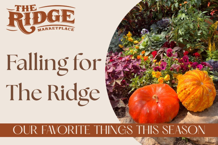 Falling for The Ridge: Our Favorite Things This Season – The Ridge ...
